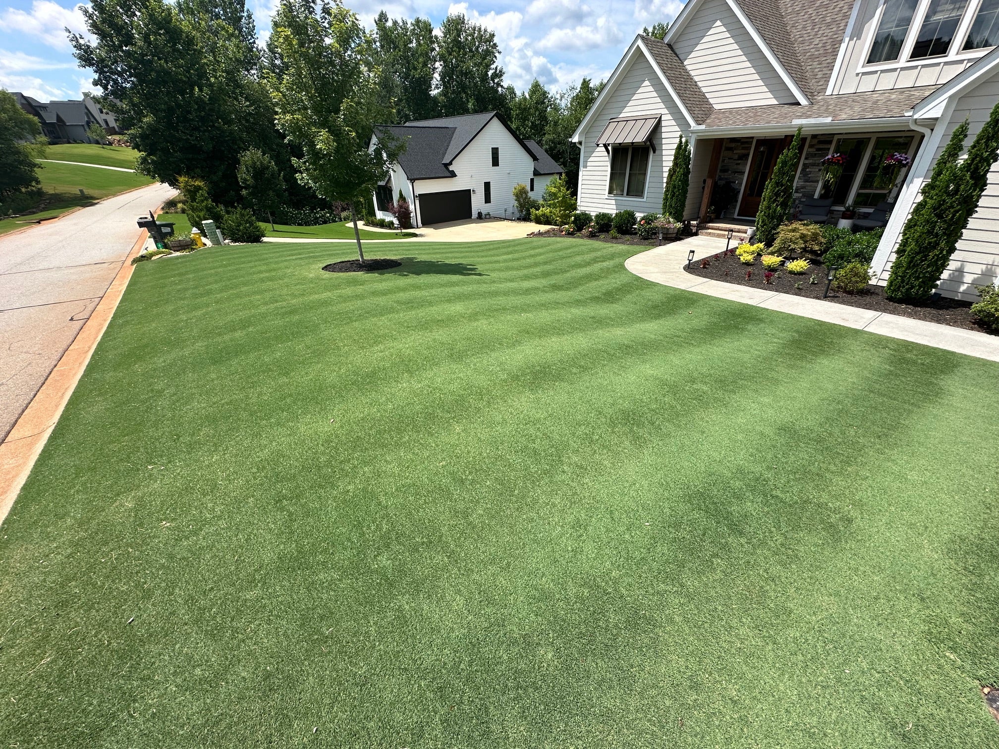 The Lawn Dad Shop – TheLawnDad